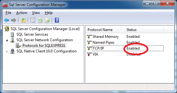 Hướng dẫn cài SQL Server Management Studio (SSMS) | Long Rainbow